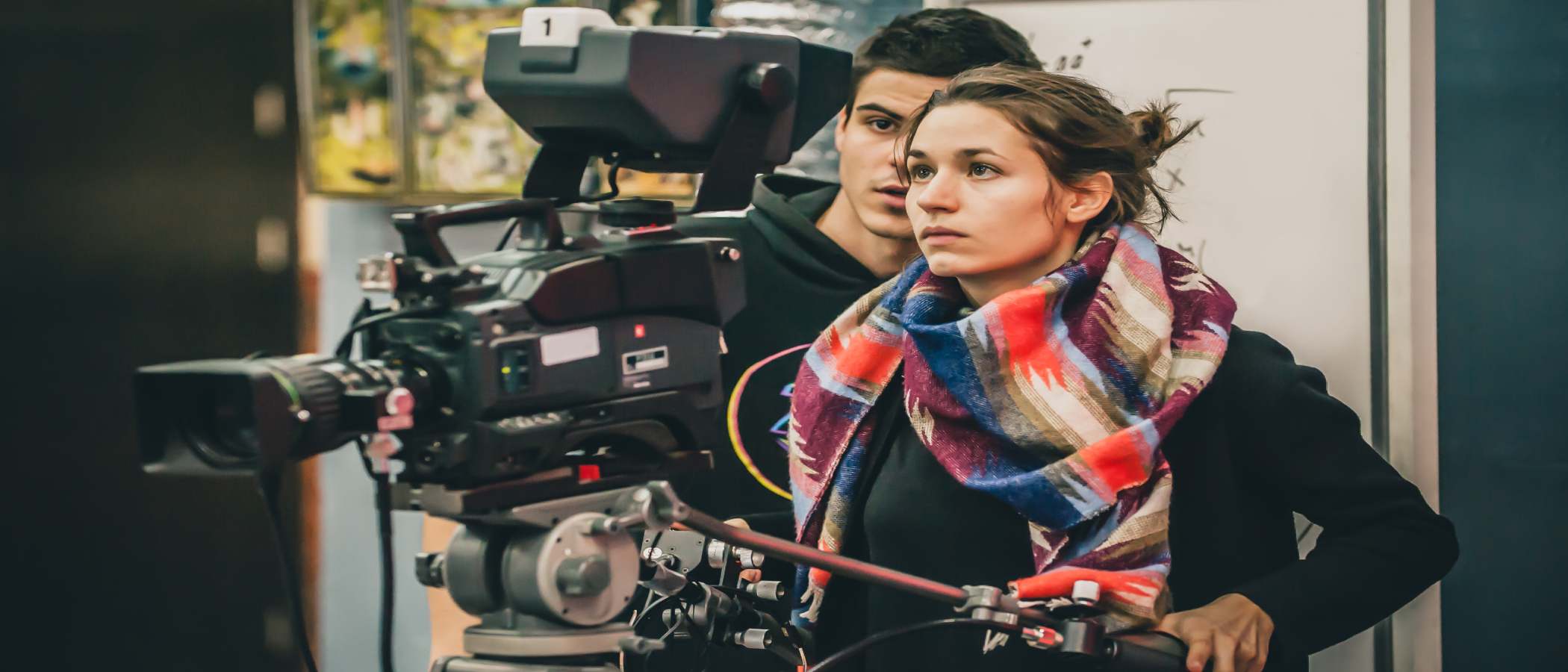 Audio/Video Arts Technology Certificate: Harper College