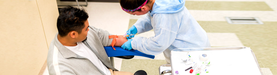 Phlebotomy: Harper College