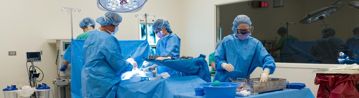 Surgical Technology: Harper College