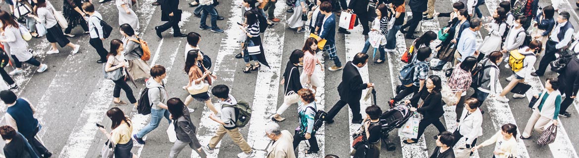 Sociology: Harper College